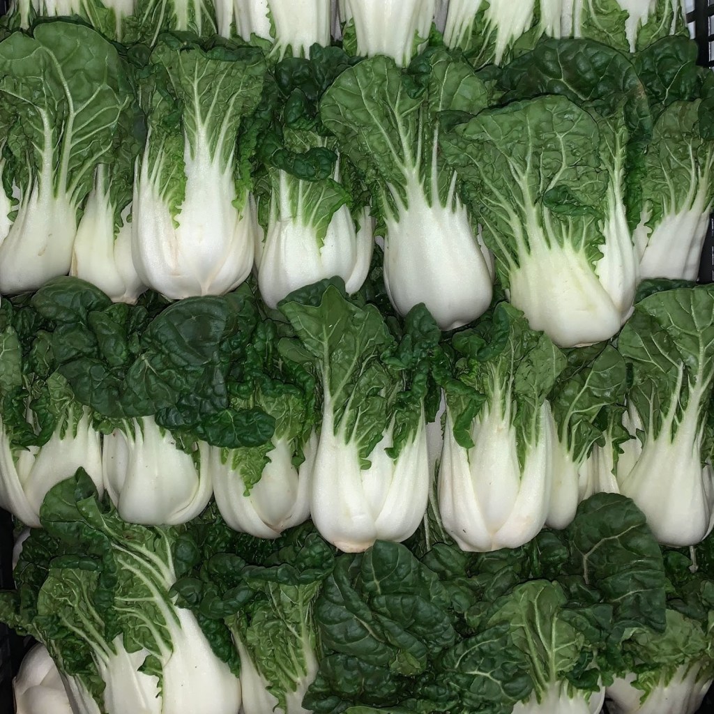 Asia Vegetable & Food Supply, Inc.